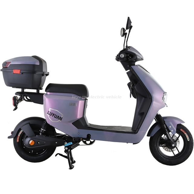 Electric Scooter With Lithium Battery Manufacturer - Luyuan
