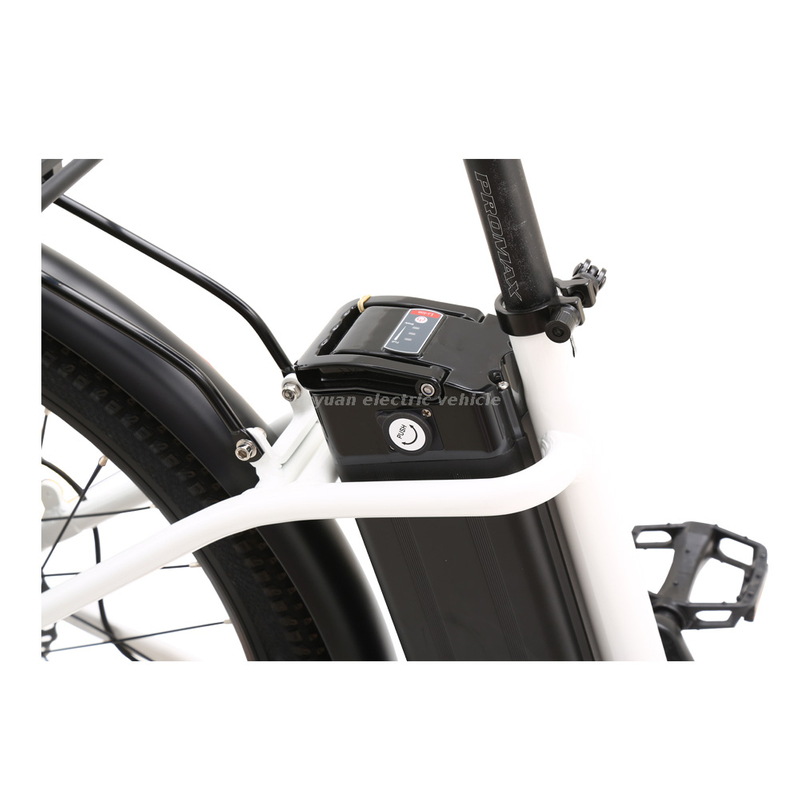 Electric Bicycle EC 01F lite for woman from luyuan